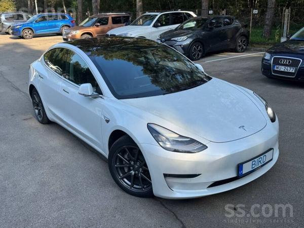Tesla Model 3 2020 Rīga vietnē Balts Tesla Model 3 2020 Rīga, ar dzinēja tilpumu 0.00 L un nobraukumu 175 tūkst. km par 21000 €, foto 9 vietnē AUTOMOTO.COM.LV