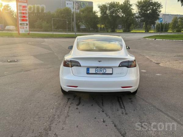 White Tesla Model 3 2020 in Riga, with an engine capacity of 0.00 L and mileage of 170 thousand km for 21000 €, photo 3 on AUTOMOTO.COM.LV