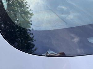 Balts Tesla Model 3 2021 Viļņa, ar dzinēja tilpumu 0.00 L un nobraukumu 193 tūkst. km par 23900 €, foto 5 vietnē AUTOMOTO.COM.LV