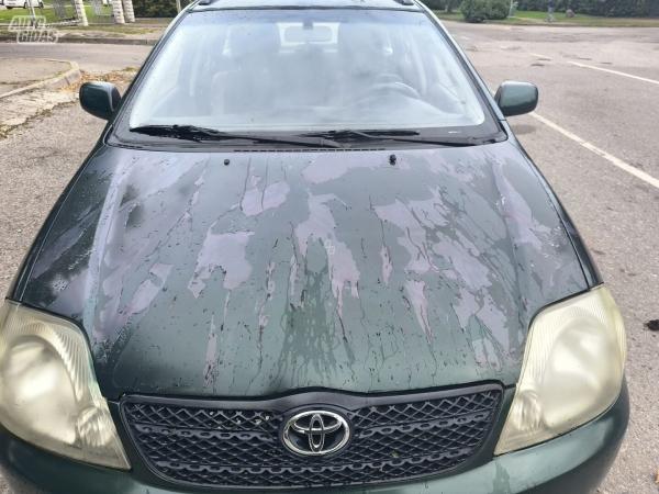 Zaļš Toyota Corolla 2003 Kauņa, ar dzinēja tilpumu 1.40 L un nobraukumu 185 tūkst. km par 1650 €, foto 10 vietnē AUTOMOTO.COM.LV