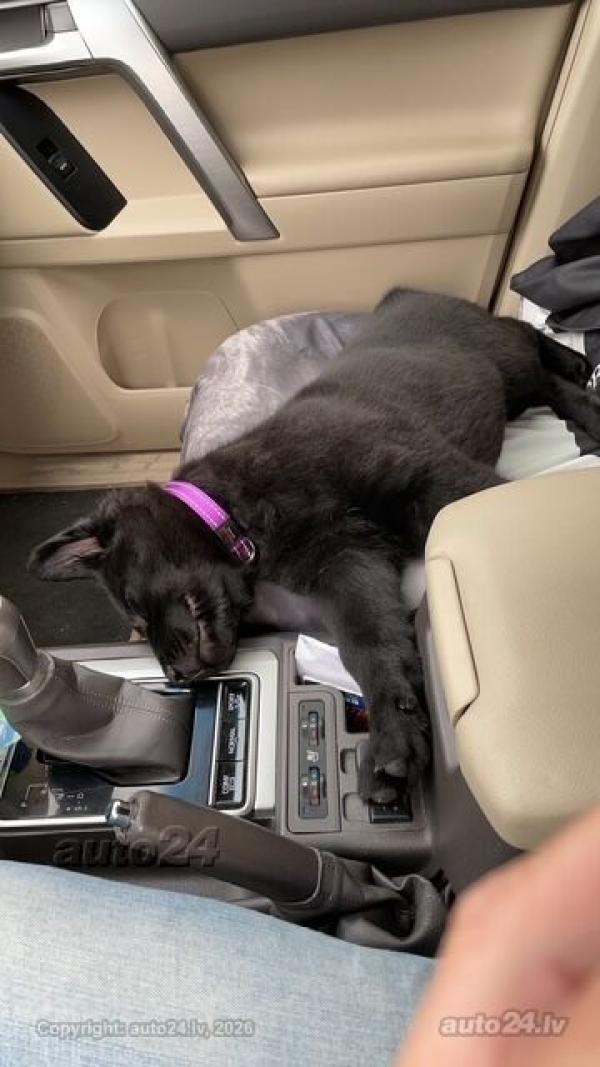 Черный Тойота Ленд Крузер 2018 в Пярну, объемом двигателя 2.80 л и пробегом 220 тыс. км за 42500 €, фото 8 на AUTOMOTO.COM.LV