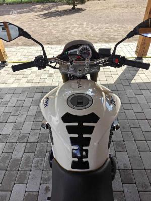 Balts Triumph Street Triple 2008 Druskininkai, ar dzinēja tilpumu 0.68 L un nobraukumu 64 tūkst. km par 2600 €, foto 10 vietnē AUTOMOTO.COM.LV