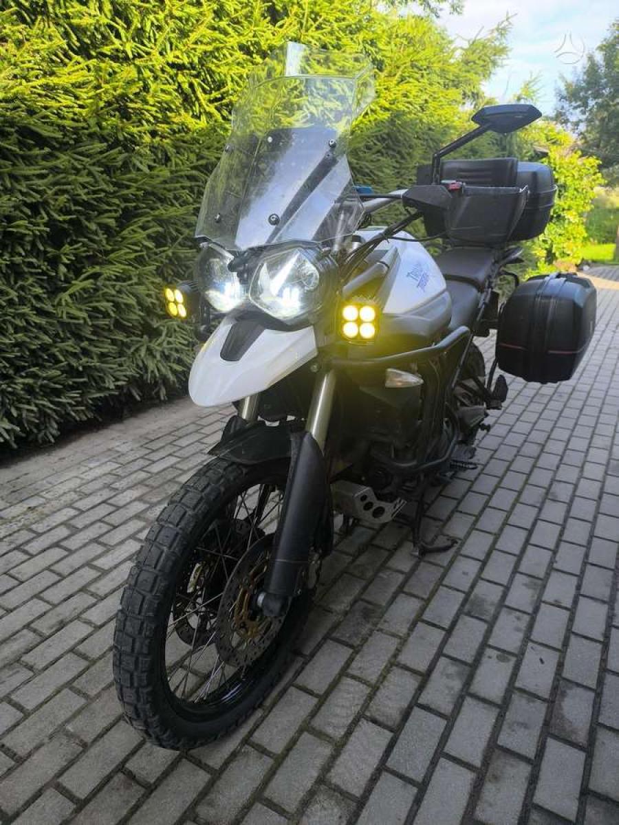 White Triumph Tiger 2012 in Taurage, with an engine capacity of 0.80 L and mileage of 55 thousand km for 4999 €, photo 4 on AUTOMOTO.COM.LV