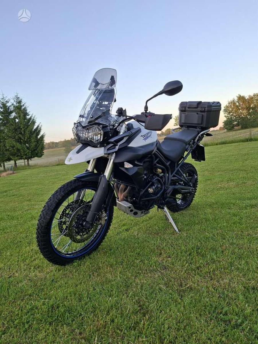 White Triumph Tiger 2013 in Silale, with an engine capacity of 0.80 L and mileage of 57 thousand km for 5300 €, photo 1 on AUTOMOTO.COM.LV