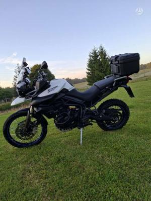White Triumph Tiger 2013 in Silale, with an engine capacity of 0.80 L and mileage of 57 thousand km for 5300 €, photo 5 on AUTOMOTO.COM.LV