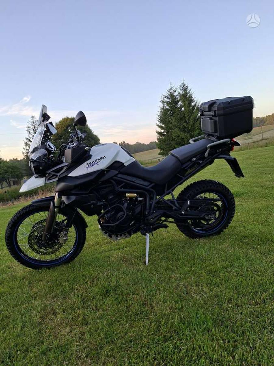 White Triumph Tiger 2013 in Silale, with an engine capacity of 0.80 L and mileage of 57 thousand km for 5300 €, photo 5 on AUTOMOTO.COM.LV