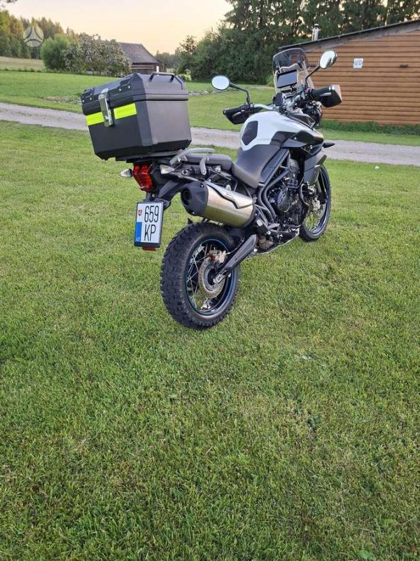 White Triumph Tiger 2013 in Silale, with an engine capacity of 0.80 L and mileage of 57 thousand km for 5300 €, photo 5 on AUTOMOTO.COM.LV