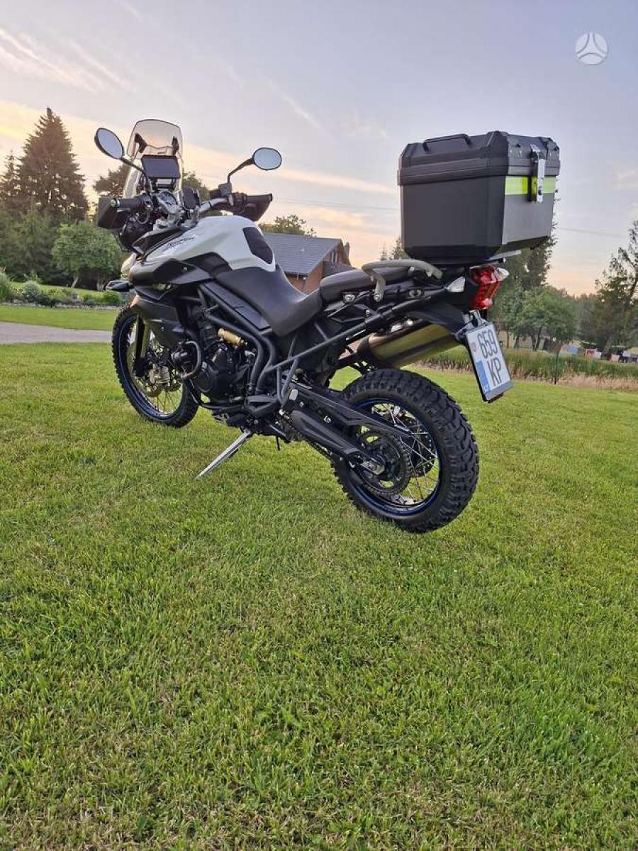 White Triumph Tiger 2013 in Silale, with an engine capacity of 0.80 L and mileage of 57 thousand km for 5300 €, photo 7 on AUTOMOTO.COM.LV