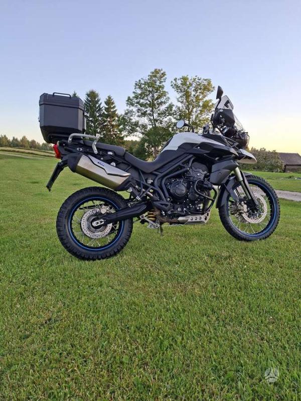 White Triumph Tiger 2013 in Silale, with an engine capacity of 0.80 L and mileage of 57 thousand km for 5300 €, photo 7 on AUTOMOTO.COM.LV