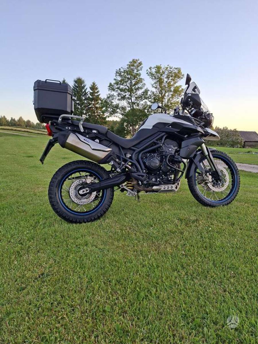 White Triumph Tiger 2013 in Silale, with an engine capacity of 0.80 L and mileage of 57 thousand km for 5300 €, photo 8 on AUTOMOTO.COM.LV
