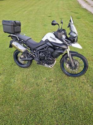 White Triumph Tiger 2013 in Silale, with an engine capacity of 0.80 L and mileage of 57 thousand km for 5300 €, photo 9 on AUTOMOTO.COM.LV