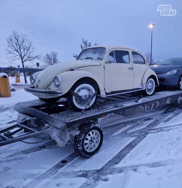 Фольксваген Битл 1985 в Друскининкай, объемом двигателя 1.30 л и пробегом 66 тыс. км за 10000 €, фото 1 на AUTOMOTO.COM.LV