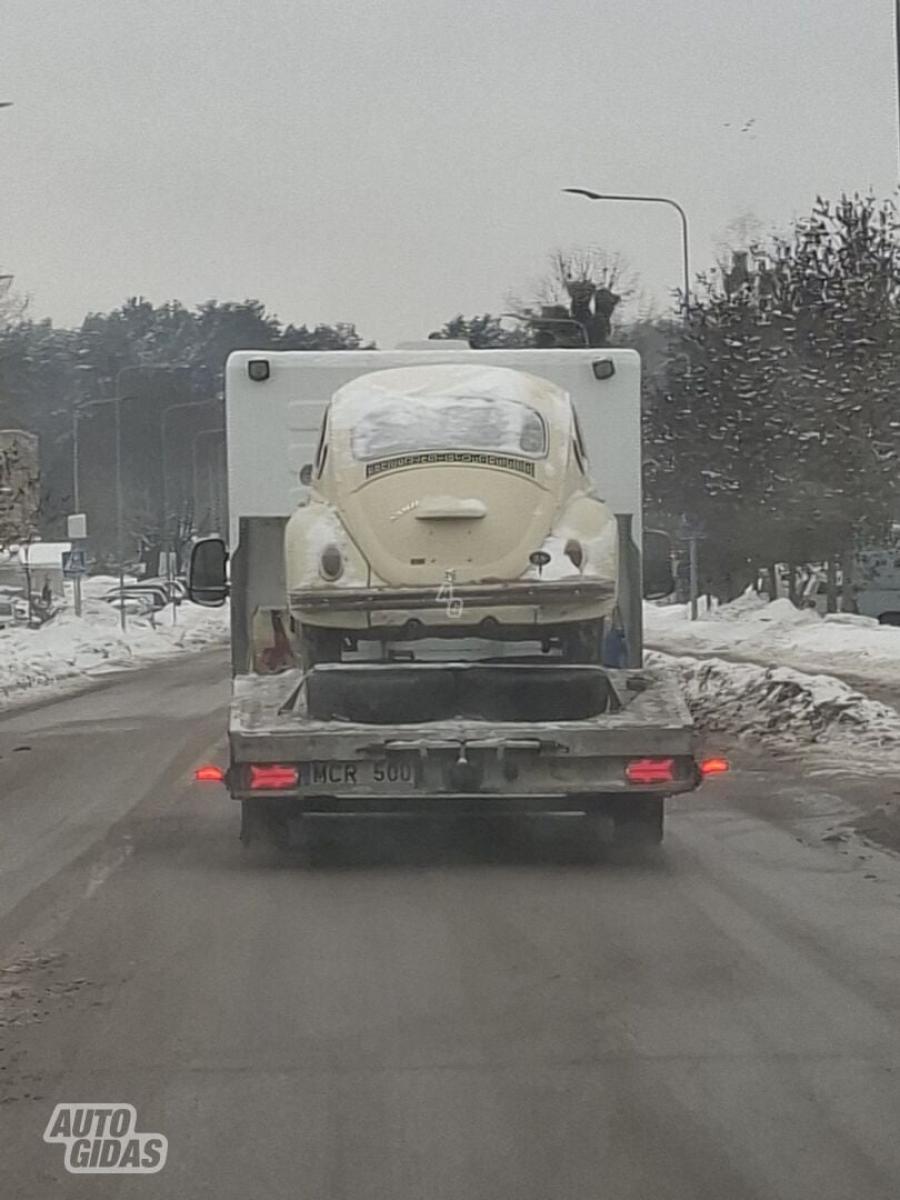 Фольксваген Битл 1985 в Друскининкай, объемом двигателя 1.30 л и пробегом 66 тыс. км за 10000 €, фото 4 на AUTOMOTO.COM.LV