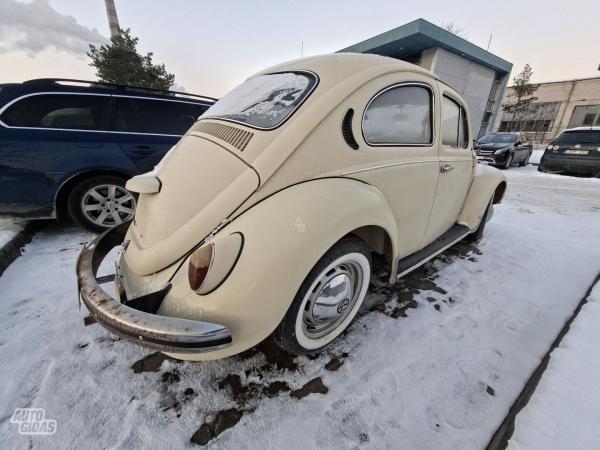 Фольксваген Битл 1985 в Друскининкай, объемом двигателя 1.30 л и пробегом 66 тыс. км за 10000 €, фото 6 на AUTOMOTO.COM.LV