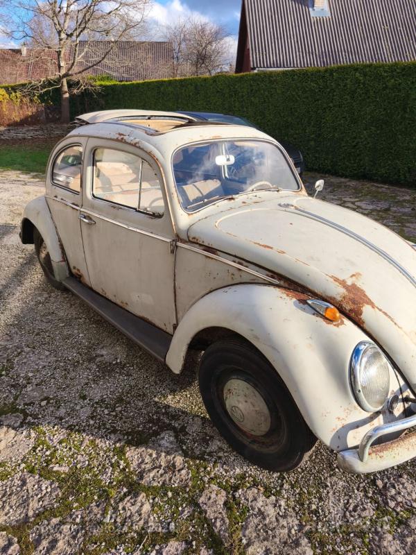 Volkswagen Beetle 1959 Tallina, ar dzinēja tilpumu 0.00 L un nobraukumu 45 tūkst. km par 5500 €, foto 2 vietnē AUTOMOTO.COM.LV
