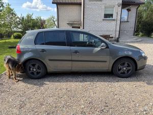 Зеленый Фольксваген Гольф 2004 в Казлу-Руда, объемом двигателя 1.90 л и пробегом 361 тыс. км за 1200 €, фото 9 на AUTOMOTO.COM.LV