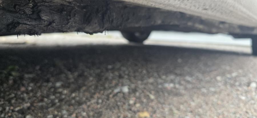 Balts Volkswagen Golf 1999 Tallina, ar dzinēja tilpumu 1.60 L un nobraukumu 204 tūkst. km par 1400 €, foto 6 vietnē AUTOMOTO.COM.LV