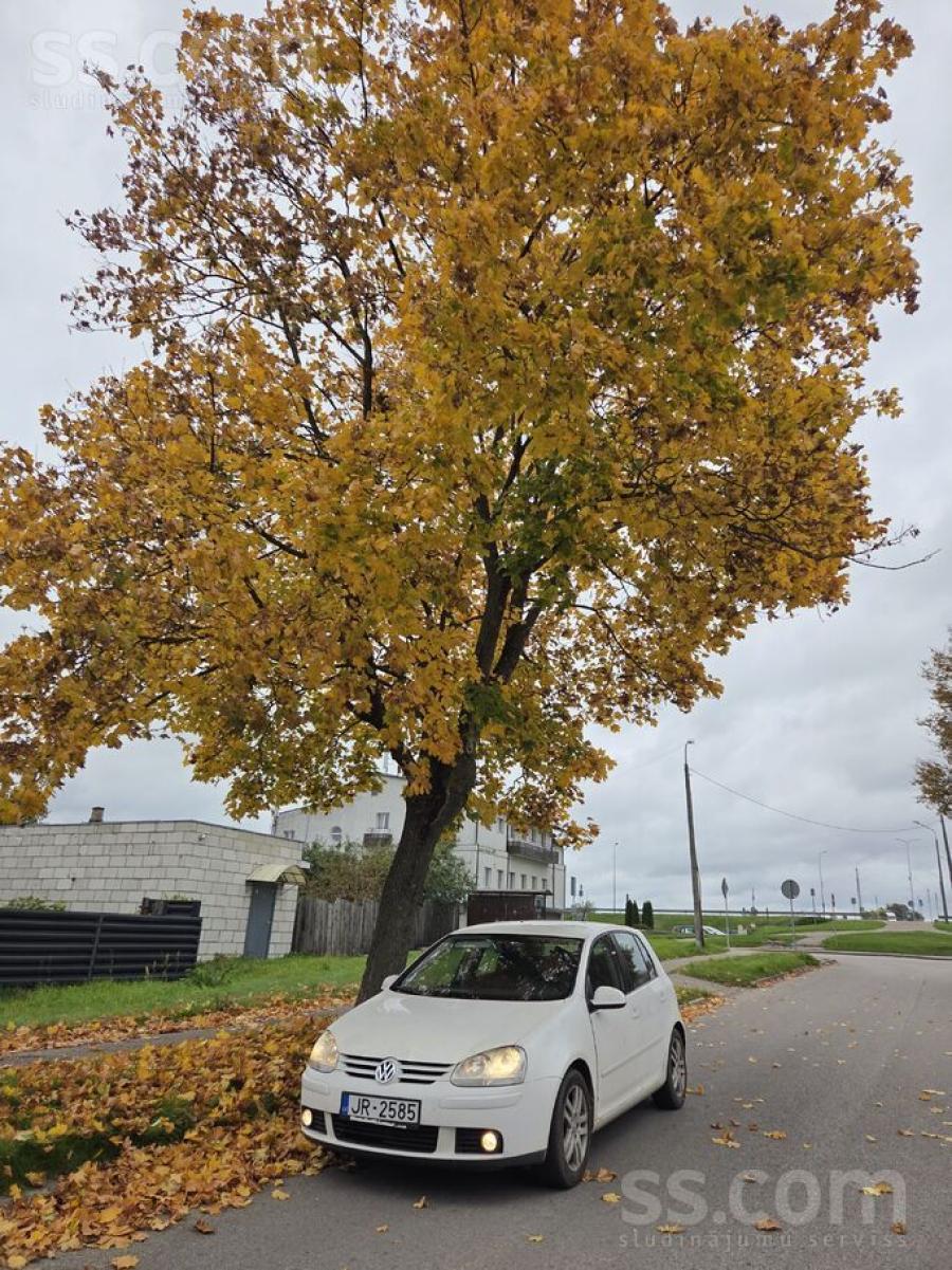 Balts Volkswagen Golf 2008 Daugavpils, ar dzinēja tilpumu 1.60 L un nobraukumu 414 tūkst. km par 1500 €, foto 7 vietnē AUTOMOTO.COM.LV