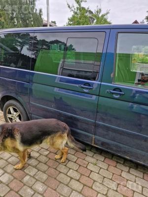 Zils Volkswagen Multivan 2007 Rīga, ar dzinēja tilpumu 2.50 L un nobraukumu 382 tūkst. km par 3900 €, foto 9 vietnē AUTOMOTO.COM.LV