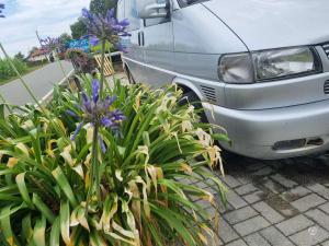 Pelēks Volkswagen Multivan 2003 Panevēža, ar dzinēja tilpumu 2.46 L un nobraukumu 470 tūkst. km par 4600 €, foto 4 vietnē AUTOMOTO.COM.LV