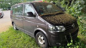 Volkswagen Multivan 2010 in Kretinga, with an engine capacity of 2.00 L and mileage of 310 thousand km for 6990 €, photo  on AUTOMOTO.COM.LV
