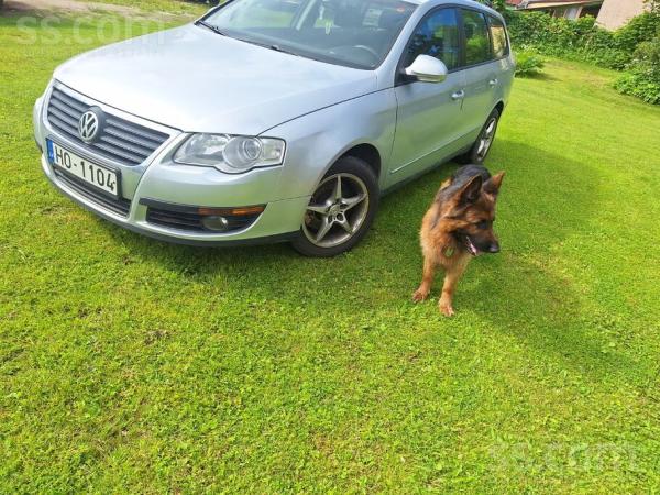 Pelēks Volkswagen Passat B6 2007 Rīga, ar dzinēja tilpumu 1.90 L un nobraukumu 345 tūkst. km par 1500 €, foto 1 vietnē AUTOMOTO.COM.LV