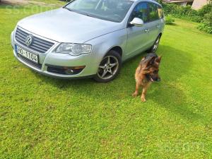 Pelēks Volkswagen Passat B6 2007 Rīga, ar dzinēja tilpumu 1.90 L un nobraukumu 345 tūkst. km par 1500 €, foto  vietnē AUTOMOTO.COM.LV