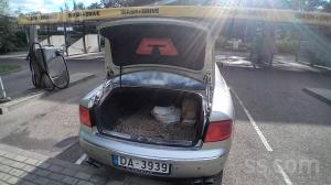 Pelēks Volkswagen Phaeton 2004 Rīga, ar dzinēja tilpumu 3.00 L un nobraukumu 311 tūkst. km par 2765 €, foto 5 vietnē AUTOMOTO.COM.LV