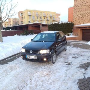 Volkswagen Polo 2000 Klaipėda, ar dzinēja tilpumu 1.40 L un nobraukumu 230 tūkst. km par 350 €, foto  vietnē AUTOMOTO.COM.LV