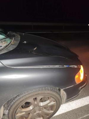 Серый Вольво С60 2009 в Паланга, объемом двигателя 2.52 л и пробегом 270 тыс. км за 1000 €, фото 6 на AUTOMOTO.COM.LV