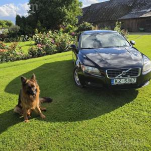 Melns Volvo S80 2006 Madona, ar dzinēja tilpumu 2.40 L un nobraukumu 367 tūkst. km par 2850 €, foto 3 vietnē AUTOMOTO.COM.LV