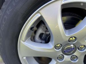 Zils Volvo V40 2016 Kauņa, ar dzinēja tilpumu 1.97 L un nobraukumu 39 tūkst. km par 8800 €, foto 16 vietnē AUTOMOTO.COM.LV