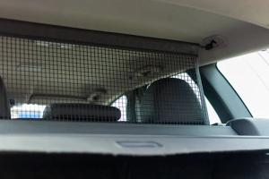 Pelēks Volvo V50 2009 Rīga, ar dzinēja tilpumu 2.00 L un nobraukumu 295 tūkst. km par 2995 €, foto 11 vietnē AUTOMOTO.COM.LV