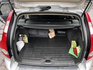 Volvo V50 2006 Rīga, ar dzinēja tilpumu 2.40 L un nobraukumu 378 tūkst. km par 2500 €, foto 7 vietnē AUTOMOTO.COM.LV