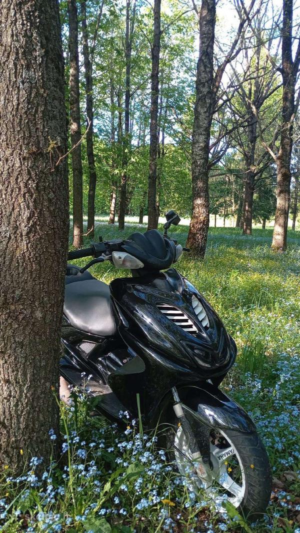 Ямаха Aerox 2008 в Шяуляй на AUTOMOTO.COM.LV Черный Ямаха Aerox 2008 в Шяуляй, объемом двигателя 50.00 л и пробегом 21 тыс. км за 1200 €, фото 9 на AUTOMOTO.COM.LV