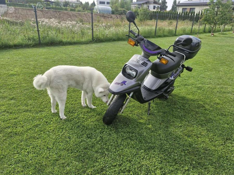 Violet Yamaha BWS 1997 in Vilnius, with an engine capacity of 49.00 L and mileage of 30 thousand km for 1150 €, photo 8 on AUTOMOTO.COM.LV