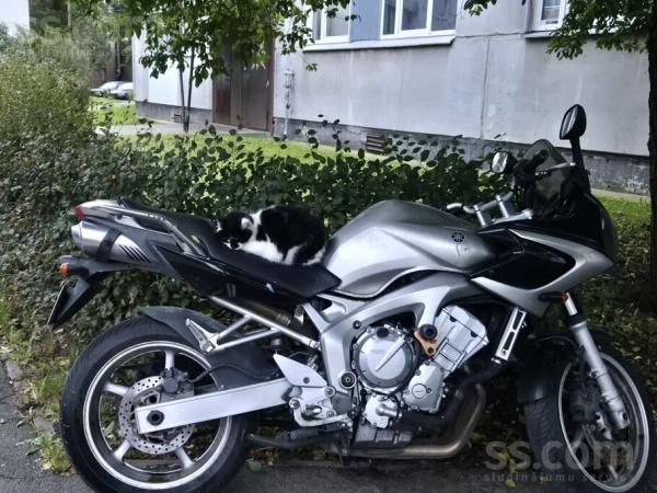 Yamaha FZ 6 2005 Rīga, ar dzinēja tilpumu 0.60 L un nobraukumu 0 tūkst. km par 2000 €, foto 1 vietnē AUTOMOTO.COM.LV