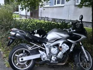 Yamaha FZ 6 2005 Rīga, ar dzinēja tilpumu 0.60 L un nobraukumu 0 tūkst. km par 2000 €, foto  vietnē AUTOMOTO.COM.LV