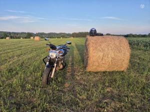 Yamaha FZ 600 2008 in Klaipeda, with an engine capacity of 0.60 L and mileage of 68 thousand km for 2750 €, photo 7 on AUTOMOTO.COM.LV