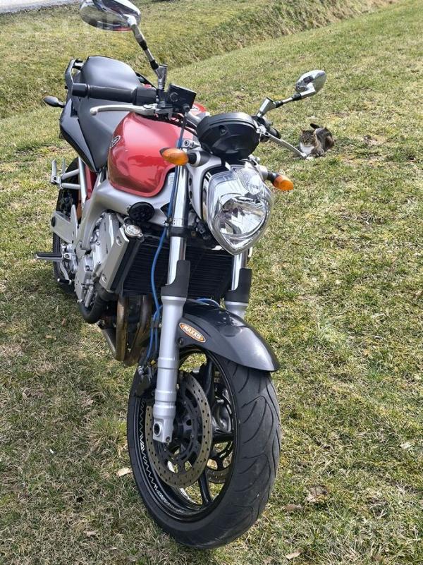 Yamaha FZ 6N 2004 Jelgava, ar dzinēja tilpumu 0.60 L un nobraukumu 0 tūkst. km par 2200 €, foto 3 vietnē AUTOMOTO.COM.LV