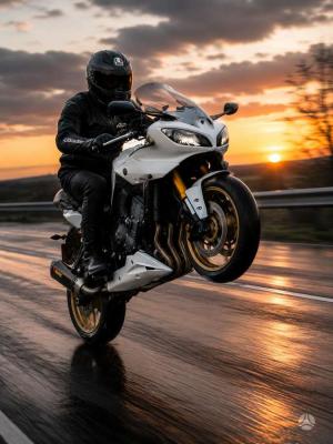 White Yamaha FZ 8 2011 in Vilnius, with an engine capacity of 0.80 L and mileage of 61 thousand km for 4700 €, photo 3 on AUTOMOTO.COM.LV
