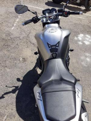 Серый Ямаха FZ1N 2006 в Паневежис, объемом двигателя 1.00 л и пробегом 56 тыс. км за 3450 €, фото 11 на AUTOMOTO.COM.LV