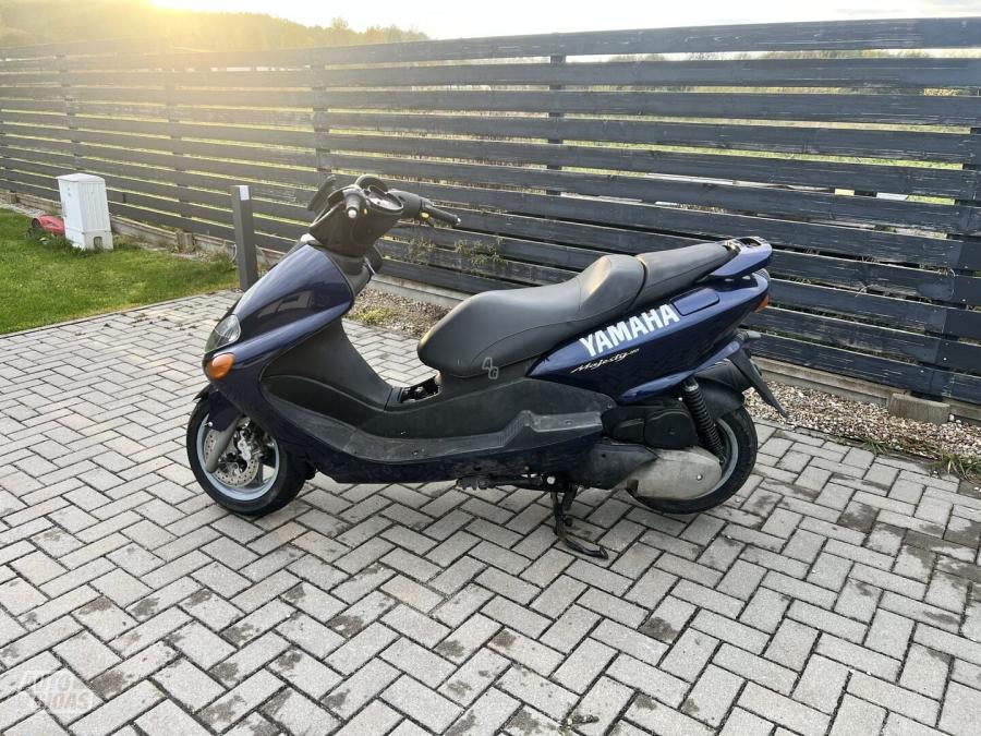 Синий Ямаха Majesty 2000 в Вильнюс, объемом двигателя 0.13 л и пробегом 30 тыс. км за 200 €, фото 6 на AUTOMOTO.COM.LV