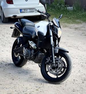 White Yamaha MT 03 2008 in Vilnius, with an engine capacity of 0.66 L and mileage of 9 thousand km for 2000 €, photo  on AUTOMOTO.COM.LV