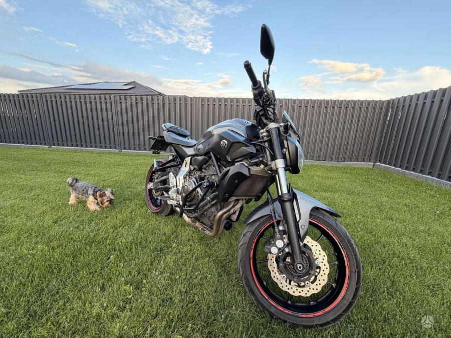 Pelēks Yamaha MT 07 2014 Panevēža, ar dzinēja tilpumu 0.70 L un nobraukumu 26 tūkst. km par 4150 €, foto 4 vietnē AUTOMOTO.COM.LV