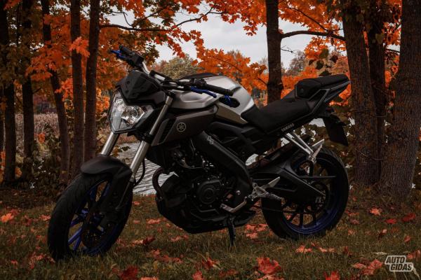 Pelēks Yamaha MT 125 2015 Panevēža, ar dzinēja tilpumu 0.13 L un nobraukumu 35 tūkst. km par 2600 €, foto 1 vietnē AUTOMOTO.COM.LV