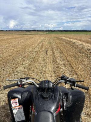 Yamaha Raptor 2007 in Kaunas, with an engine capacity of 0.35 L and mileage of 4 thousand km for 2400 €, photo 8 on AUTOMOTO.COM.LV