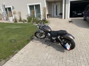 Green Yamaha Virago 1999 in Vilnius, with an engine capacity of 0.54 L and mileage of 49 thousand km for 2480 €, photo 3 on AUTOMOTO.COM.LV