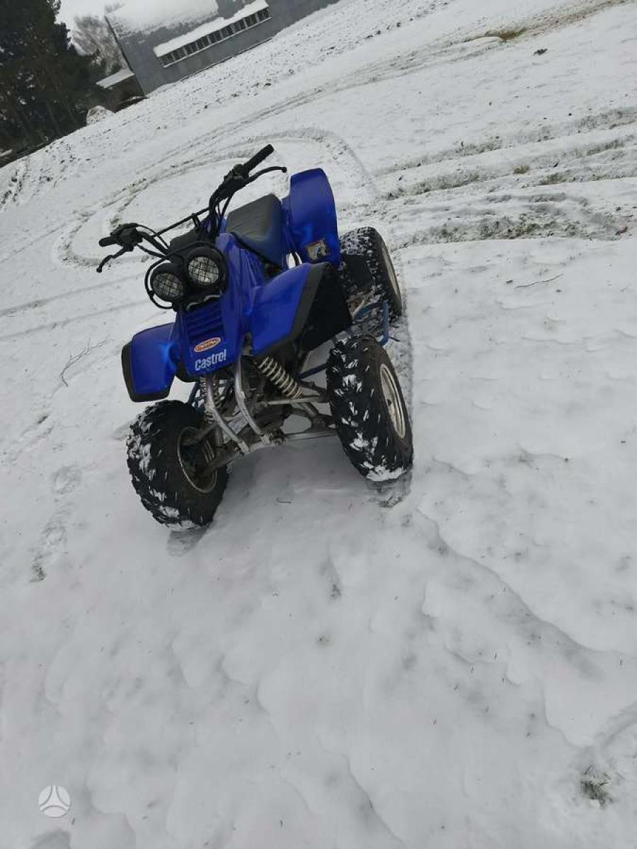 Zils Yamaha Warrior 2005 Pasvalys, ar dzinēja tilpumu 0.35 L un nobraukumu 666 tūkst. km par 2150 €, foto 4 vietnē AUTOMOTO.COM.LV