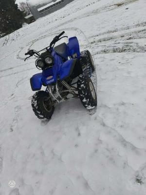 Zils Yamaha Warrior 2005 Pasvalys, ar dzinēja tilpumu 0.35 L un nobraukumu 666 tūkst. km par 2150 €, foto 6 vietnē AUTOMOTO.COM.LV